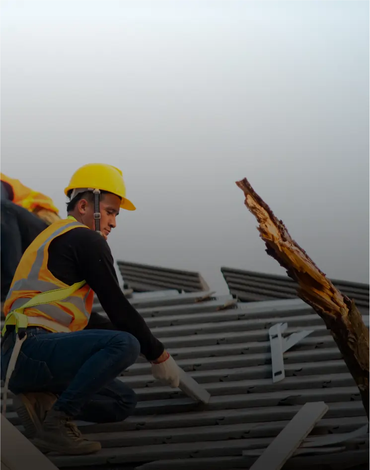 Insurance Building & Repairs - Circl